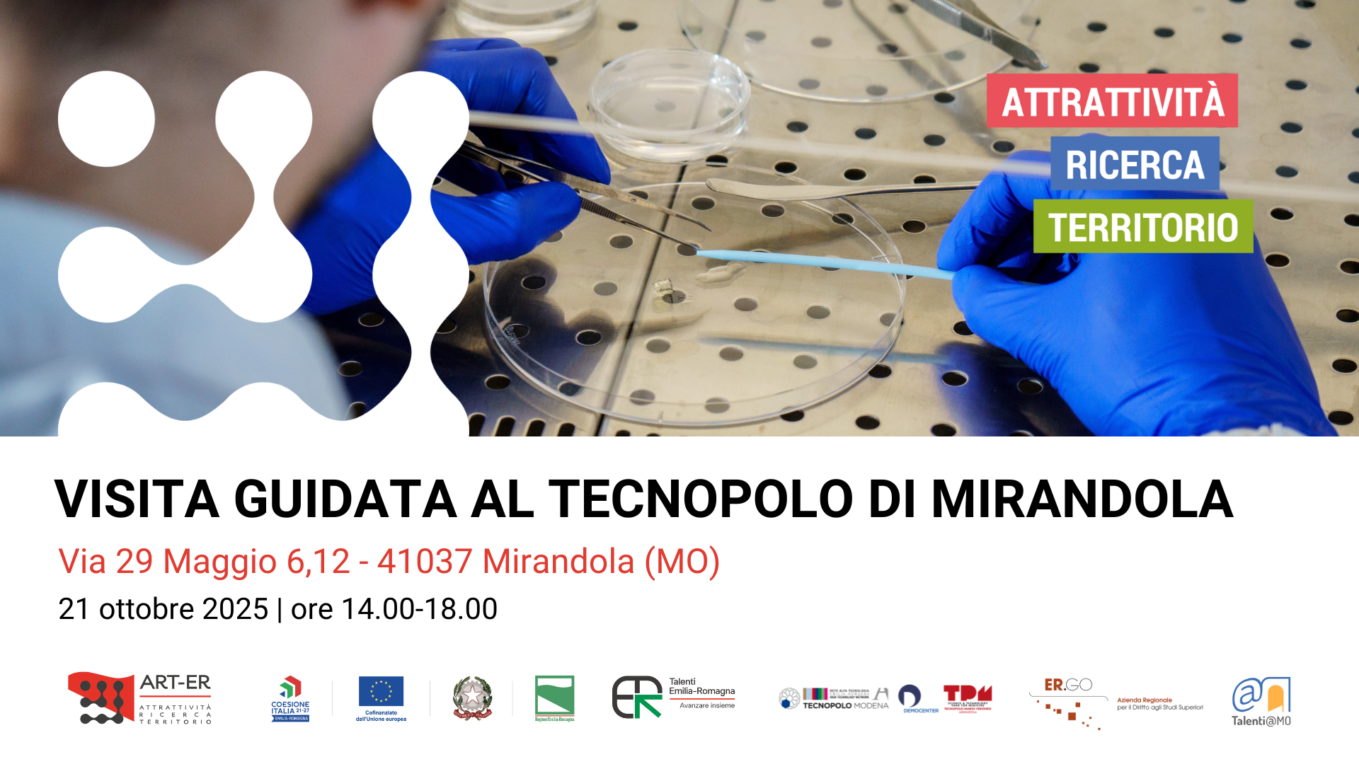 Visita il Tecnopolo di Mirandola: un viaggio nel cuore dell’innovazione ...